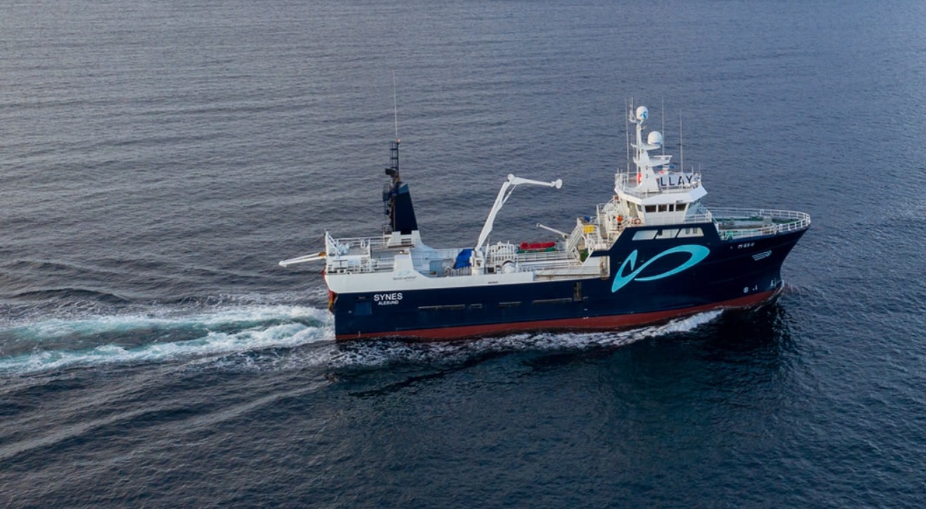 Overvloed aan schelvis verrast vissers in Noorse wateren - Visserij.nl