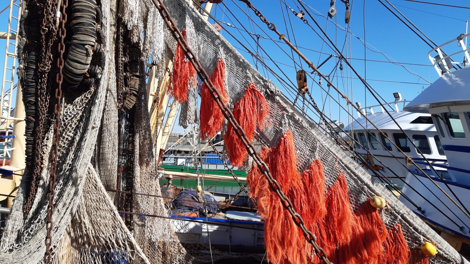 Nederlandse visserij nog niet uit zorgen: Visserij in cijfers - Visserij.nl