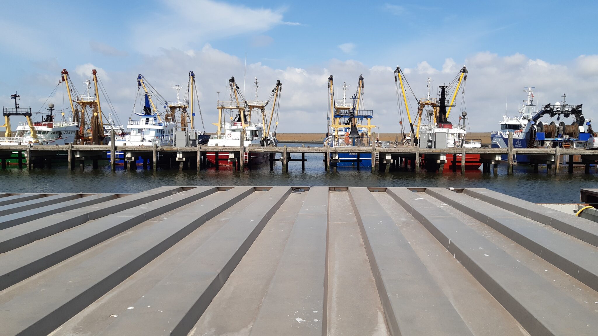 Aanval op garnalenvisserij losgebarsten - Visserij.nl